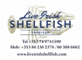 Ireland Food & Beverage Seafood Shell Fish - Crustaceans - Hannigan ...
